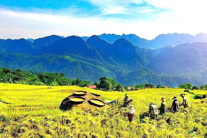 Full Day Pu Luong with Cycling, Cooking Class, Buffalo Cart Ride. - Exploring the Full Day Pu Luong Tour: A Blend of Culture, Nature, and Local Life