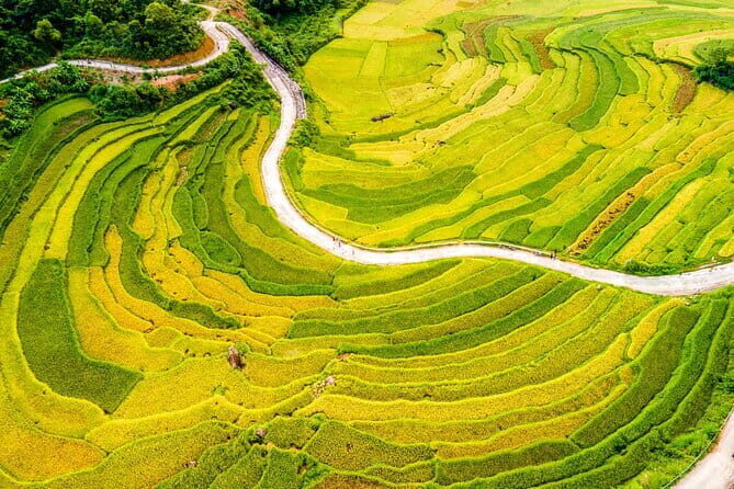 Full Day Pu Luong with Cycling, Cooking Class, Buffalo Cart Ride. - FAQ