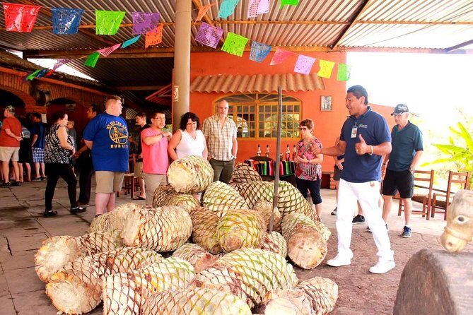 Full-Day Puerto Vallarta City Highlights Tour - Final Thoughts