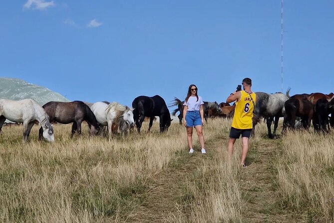 Full-Day Quad and Wild Horses Safari in Livno From Split - Exploring Livnos Captivating Landscapes