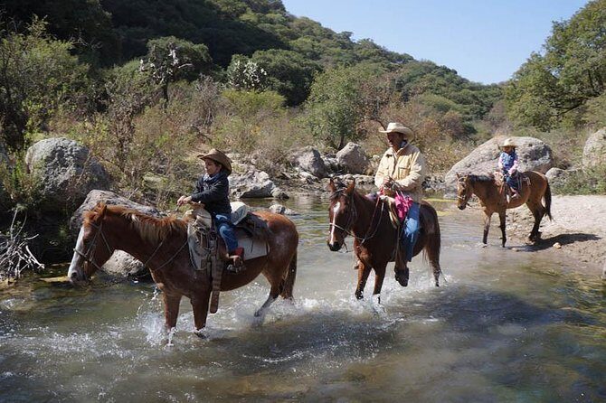 Full-Day Ranch Adventure and Horseback Riding Tour - Who Will Love This Tour?