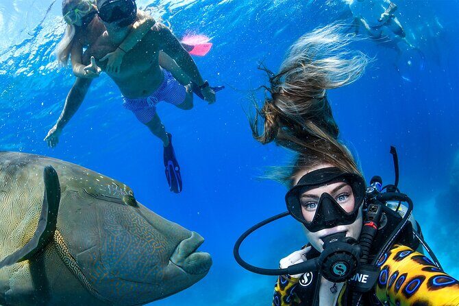 Full Day Reef Cruise and 10 Minute Helicopter Scenic Flight - An In-Depth Look at the Experience