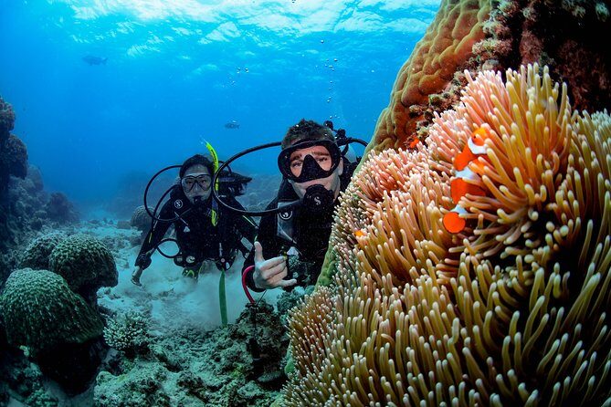 Full Day Reef Cruise and 10 Minute Helicopter Scenic Flight - Practical Considerations