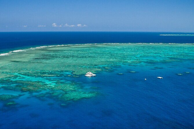 Full Day Reef Cruise and 10 Minute Helicopter Scenic Flight - Final Thoughts