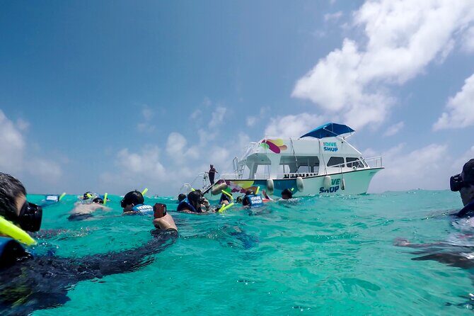 Full-Day Reef Snorkeling in Cozumel from Cancun with Lunch - Who Will Love This Tour?