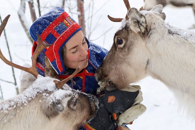 Full-Day Reindeer Tour in Kiruna Review - About Your Stay