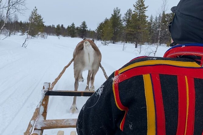 Full-Day Reindeer Tour in Kiruna Review - Cultural Experience