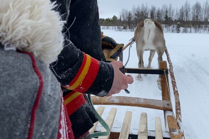 Full-Day Reindeer Tour in Kiruna Review - Booking and Cancellation Policy