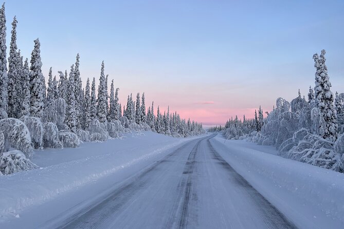 Full-Day Reindeer Tour in Kiruna Review - Insider Tip: Importance of Layering