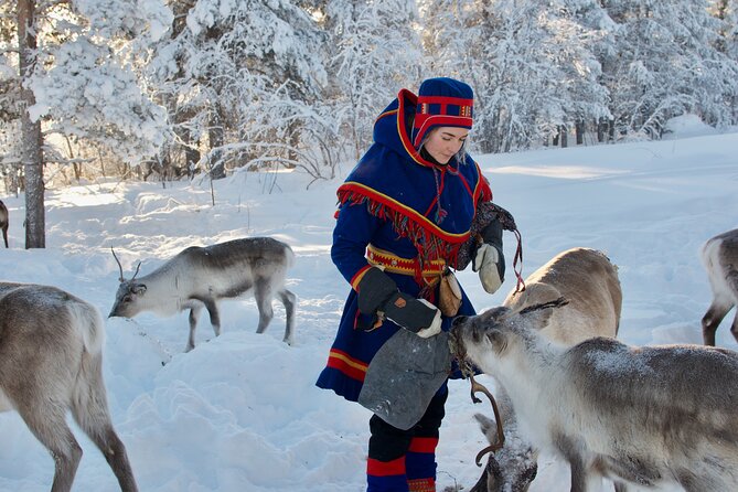 Full-Day Reindeer Tour with Pickup in Kiruna - Who is This Tour Best For?