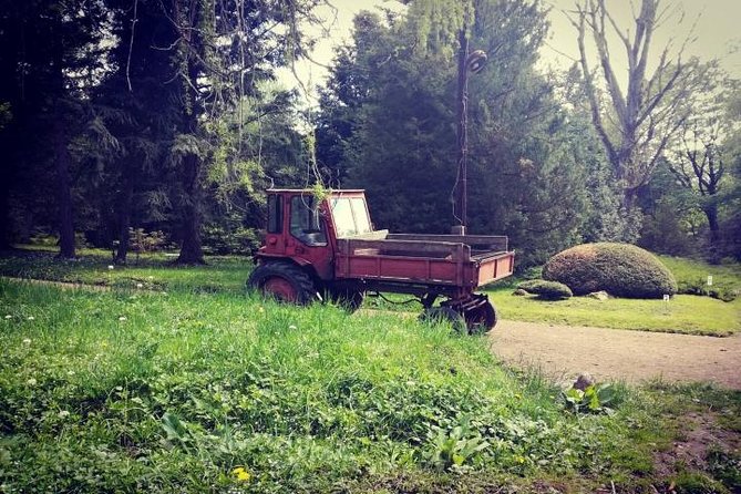 Full day rent car with driver service around Armenia (8-10 hrs) - The Sum Up