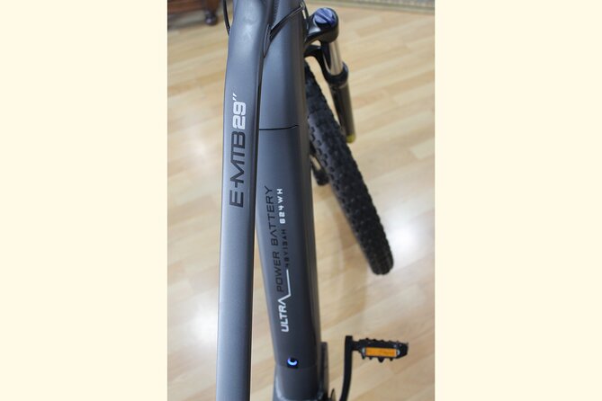 Full Day Rental of Electric Mountain E-Bike - Full Day Rental of Electric Mountain E-Bike: A Practical Guide to Exploring Malaga