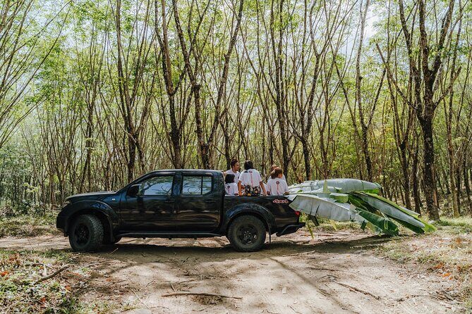 Full-Day Rescued Elephant Walk with Guide Tour in Khaolak - Key Points