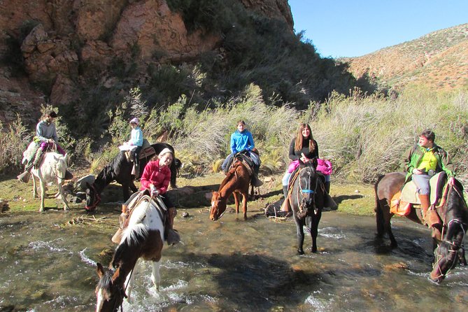 Full Day Ride at the Foot of the Andes - Scenic Vistas and Wildlife Encounters