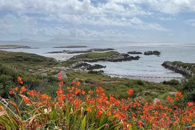 Full-Day Ring of Kerry Tour from Killarney - Who Might Want to Consider Alternatives?