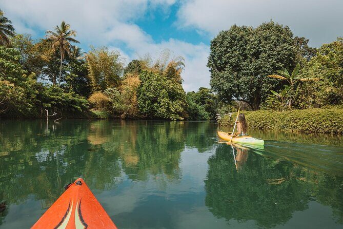 Full Day River Kayaking & Cascades from Port Vila - An In-Depth Look at the Experience