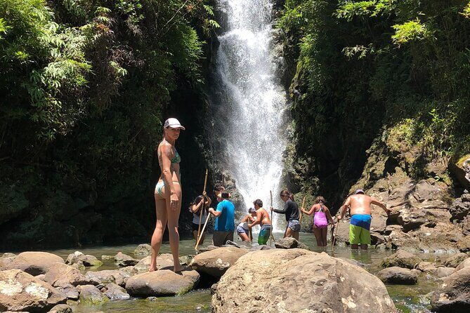 Full-Day Road to Hana and Waterfall Tour - FAQ