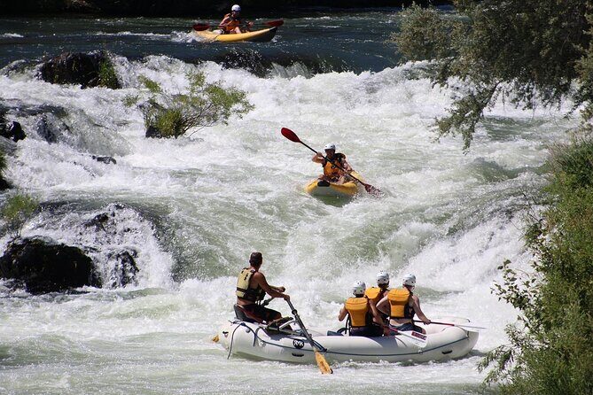 Full Day Rogue River Experience Class (I-IV) - The Float: Peaceful Views and Wildlife