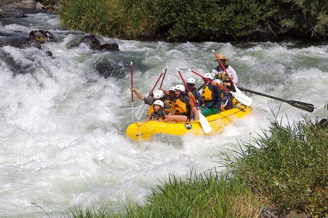 Full Day Rogue River Experience Class (I-IV) - The Reviews Speak Volumes