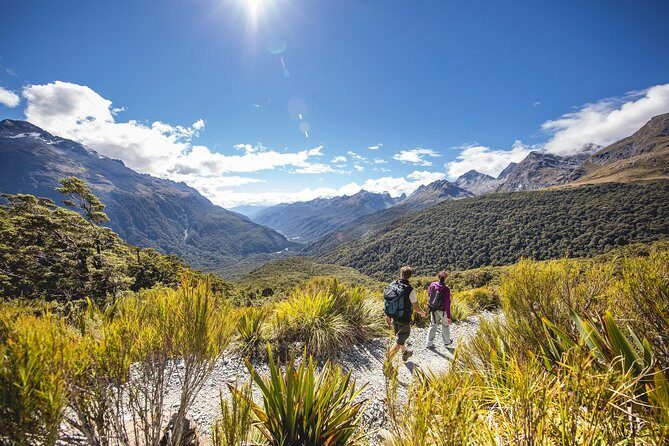 Full-Day Routeburn Track Key Summit Guided Walk from Te Anau - The Sum Up