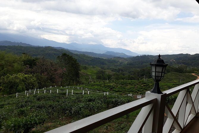 Full Day Sabah Tea Plantation & WWII Memorial - The Itinerary in Detail: Why Each Stop Matters