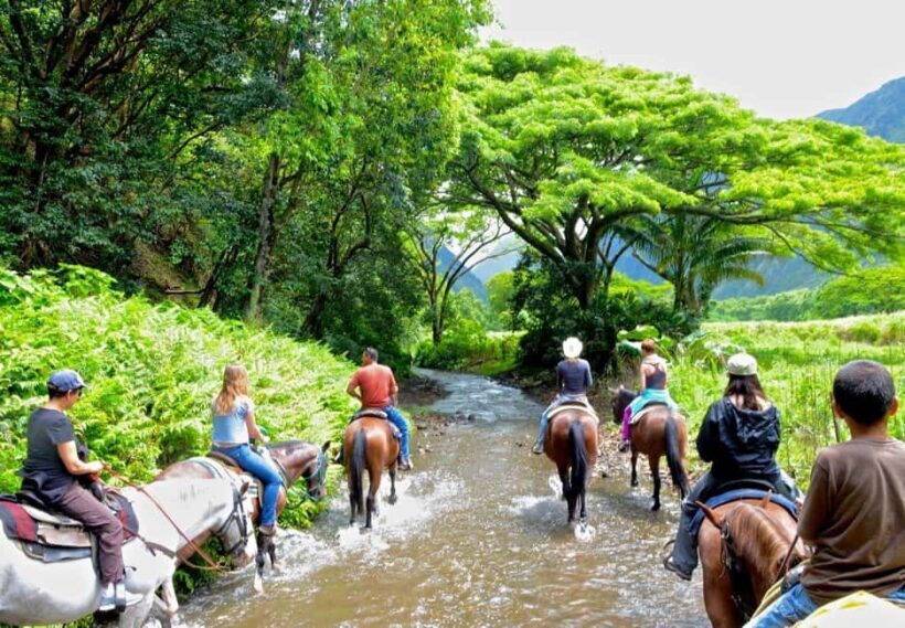 Full-Day Safari Outdoor Adventure in Punta Cana - Who Should Book This Tour?