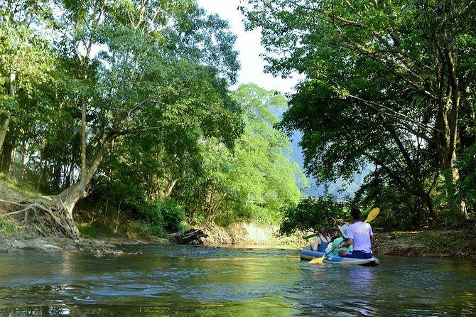 Full-Day Safari tour to Khao Sok Jungle from Phuket - Real Experiences and Authentic Feedback