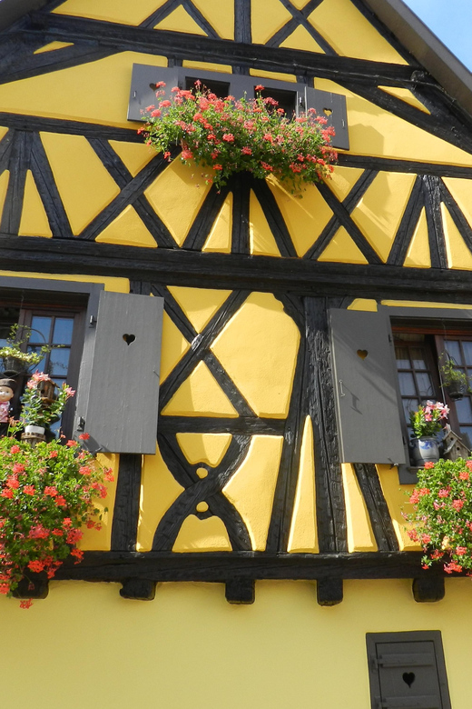 Full Day Safari Tour Villages & Vineyards Wine tasting - Key Points