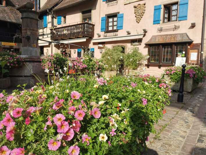 Full Day Safari Tour Villages & Vineyards Wine tasting - Detailed Itinerary Breakdown