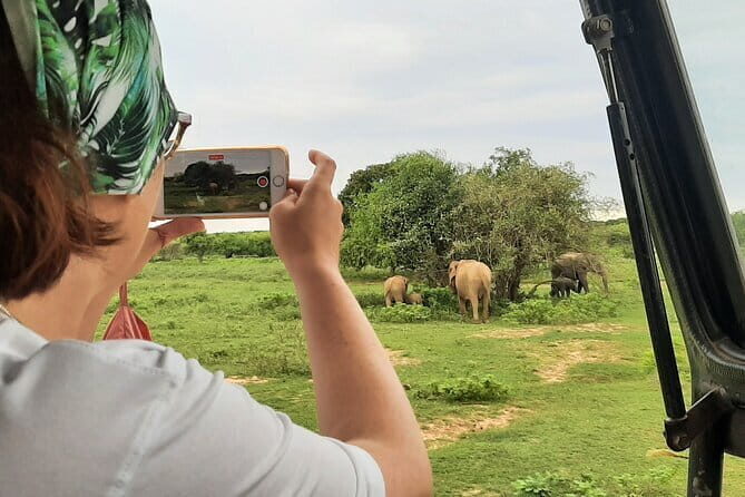 Full Day Safari Tour Yala - What the Reviews Say