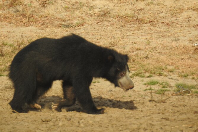 Full day Safari - Yala National Park - 04.30 am to 06.00 pm with - Janaka safari - FAQ