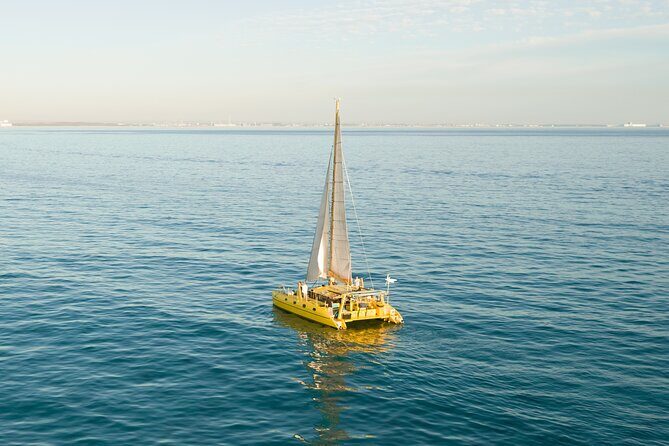Full Day Sail to Rottnest Island from Fremantle - In Summary