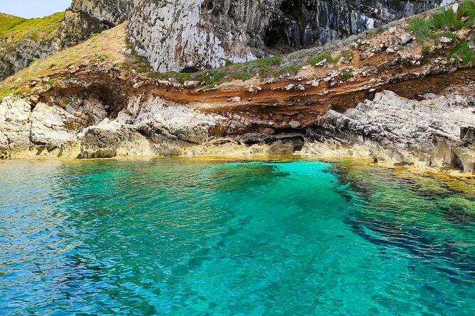 Full Day Sailing Boat Tour to the Egadi Islands - Customer Feedback and Testimonials