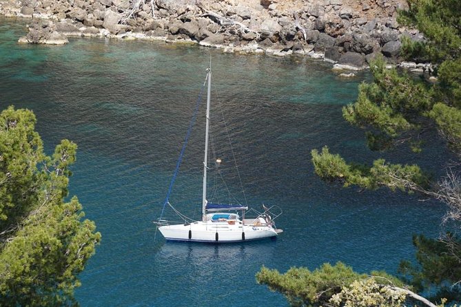Full-Day Sailing Excursion Along the Coast - Schedule and Availability