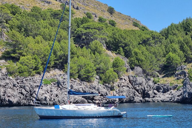 Full-Day Sailing Excursion Along the Coast - Amenities and Accessibility