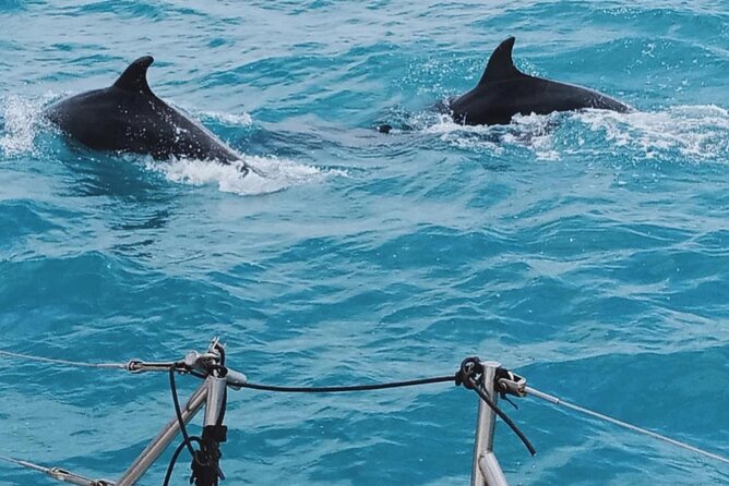 Full Day Sailing Tour Catania-Acitrezza - Safety and Additional Information