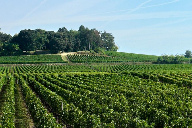 Full-day Saint-Emilion: Village, Undergrounds and Châteaux - Discovering the Subterranean Wonders