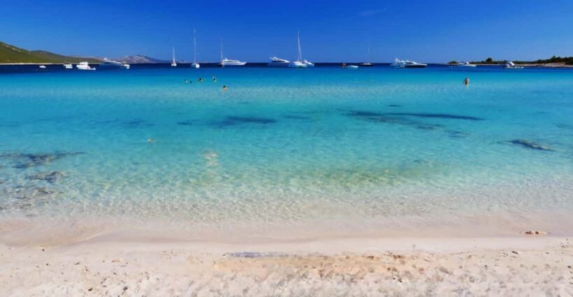 Full day Sakarun with speedboat - Key Points