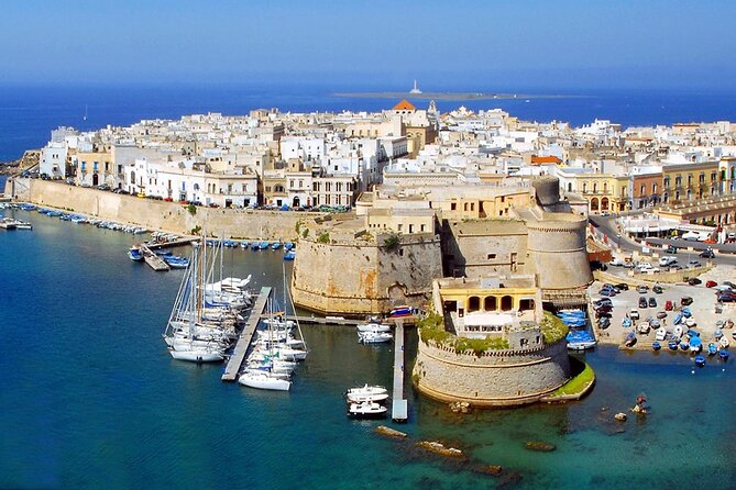 Full-day Salento Wine and Food Tour - Practical Details to Keep in Mind