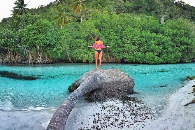 Full Day SAMANA ADVENTURE Tour - Punta Cana - Journey Through Samaná: What to Expect