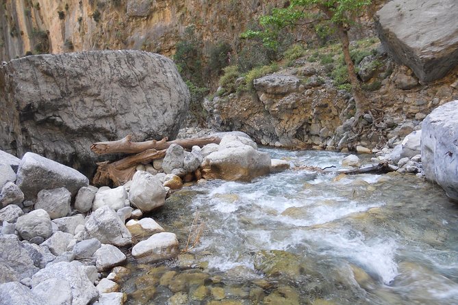Full Day Samaria Gorge 10-Mile Walking Tour - Participant Requirements