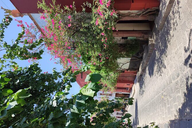 Full Day: San Miguel de Allende - A Close Look at the Itinerary