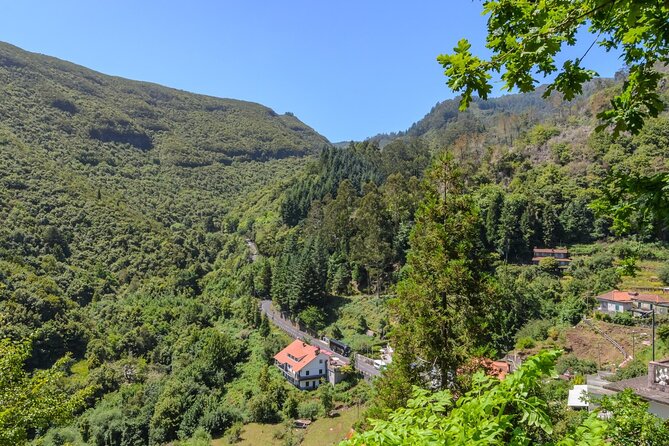 Full-Day Santana Madeira Island Tour - Dining Experience