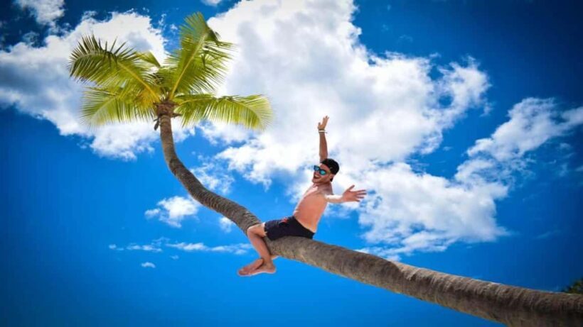 Full-Day Saona Island Excursion with Catamaran Party - Key Points