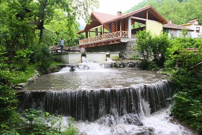 Full Day Sapanca and Masukiye Tour with lunch - Stop 3: Kartepe – Snow Hill and ATV Safari (Seasonal)