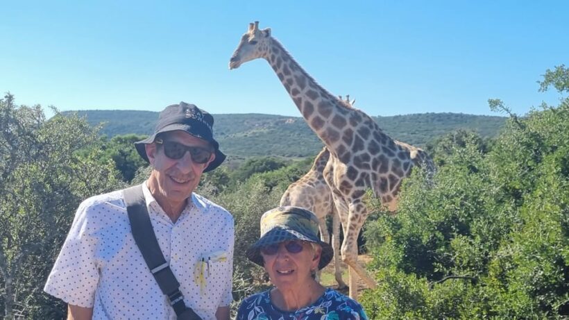 Full-Day Schotia Game Reserve & Giraffe Walk (Open 4x4) - An Introduction to Schotia’s Wildlife Safari