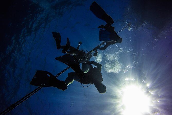 Full-Day Scuba Diving Catalina Island Tour from Bavaro - The Sum Up