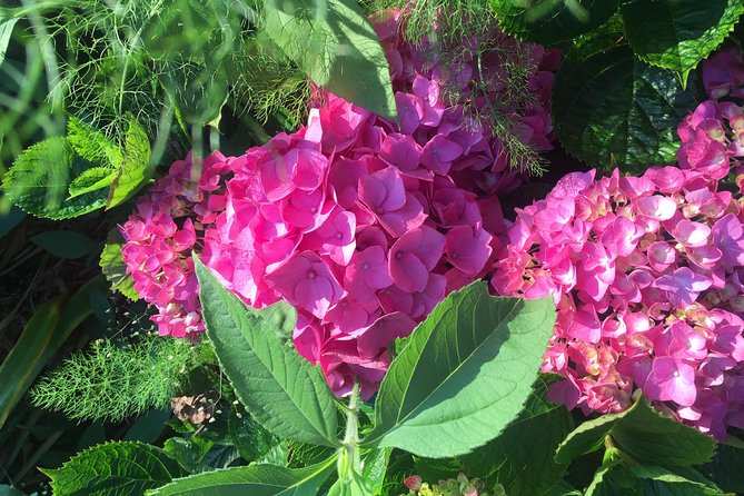 Full Day Sete Cidades and Lagoa Do Fogo PRIVATE 4WD Tour With Lunch - Exploring Unspoiled Nature