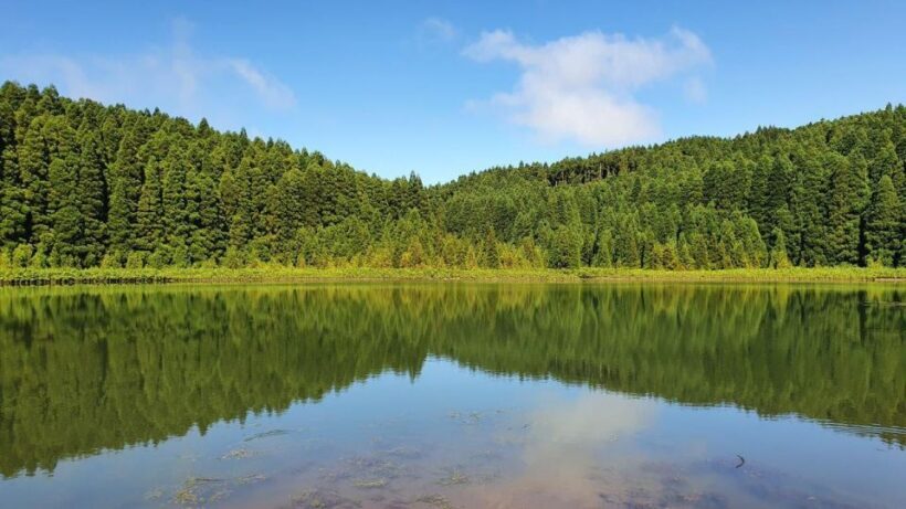 Full day Sete Cidades and Lagoa do Fogo - Practical Tips for Travelers