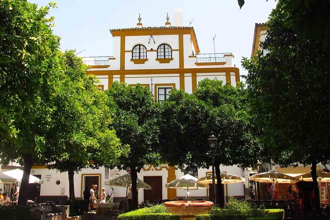 Full Day Seville Tour With Tickets (Optional Tapas & Flamenco) - Upgrade Options